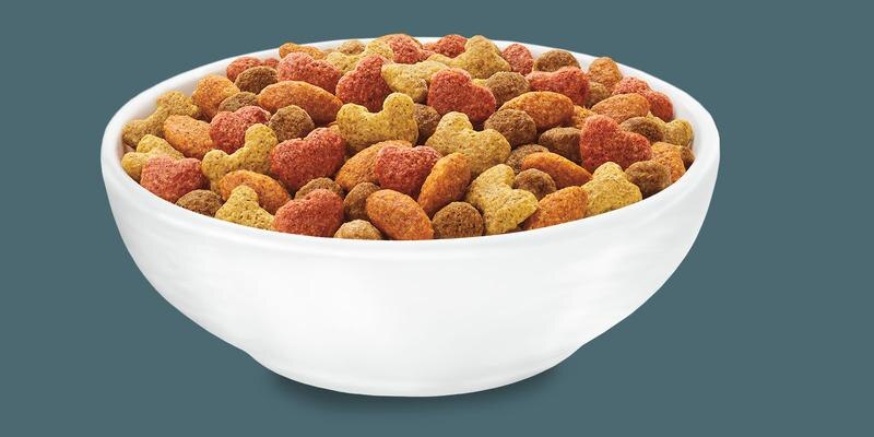 Beneful® - Nutritious Dog Food Range | Purina® CA