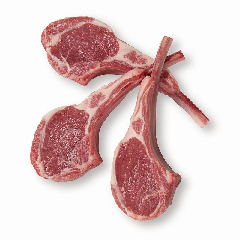 Pro Plan Shredded Blend Lamb & Rice Probiotic Dog Food | Purina® CA