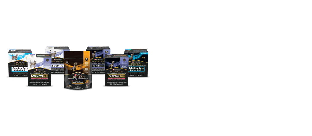 Purina® Pro Plan Veterinary Supplements for Dogs & Cats | Purina CA