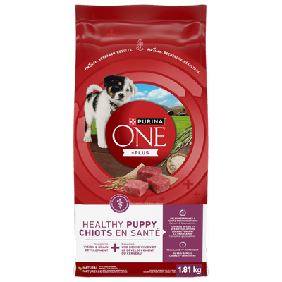 Premium Dog Food: Explore Purina® ONE® Range for Dogs | Purina® CA