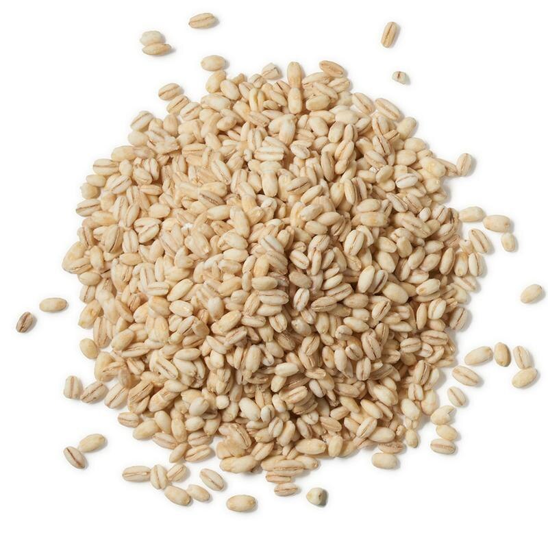 NC NeuroCare™ Dog Food for Cognitive Brain Health | Purina CA