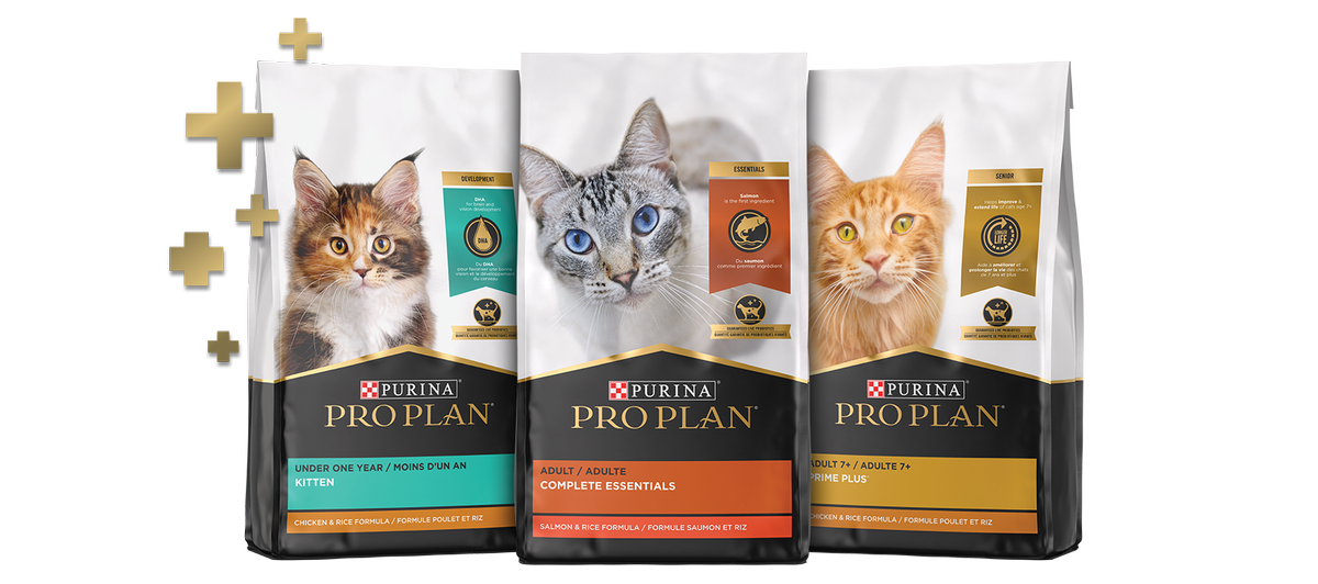 Quality and Nutrition: Pro Plan® Cat Food | Purina® CA