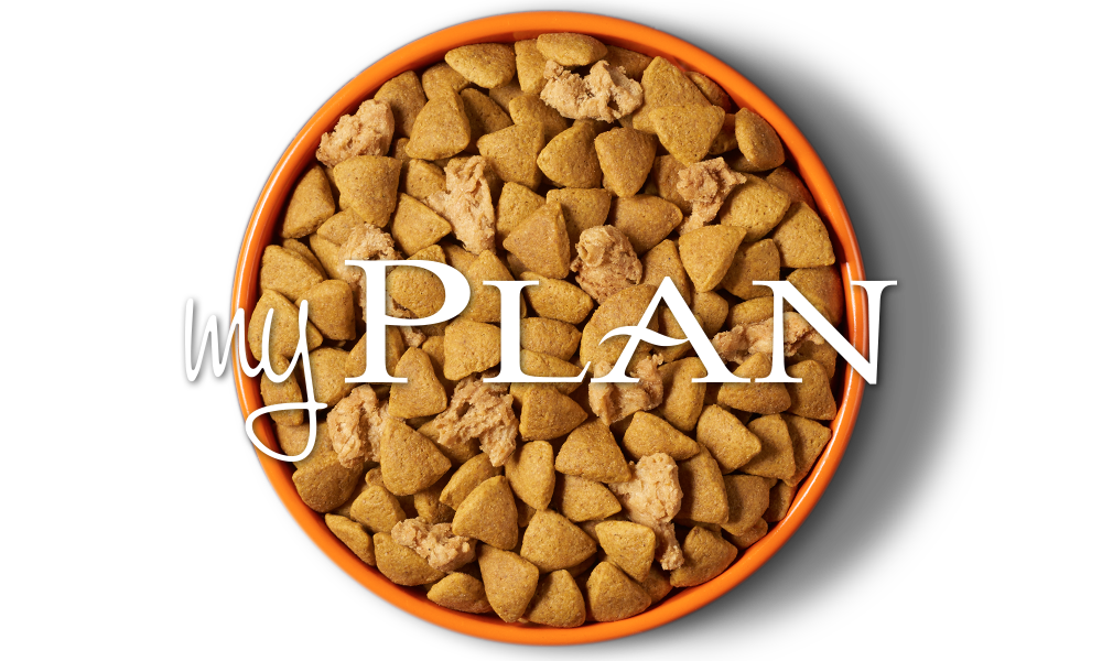 Pro Plan®'s Nutritious Dog Food Range | Purina® CA