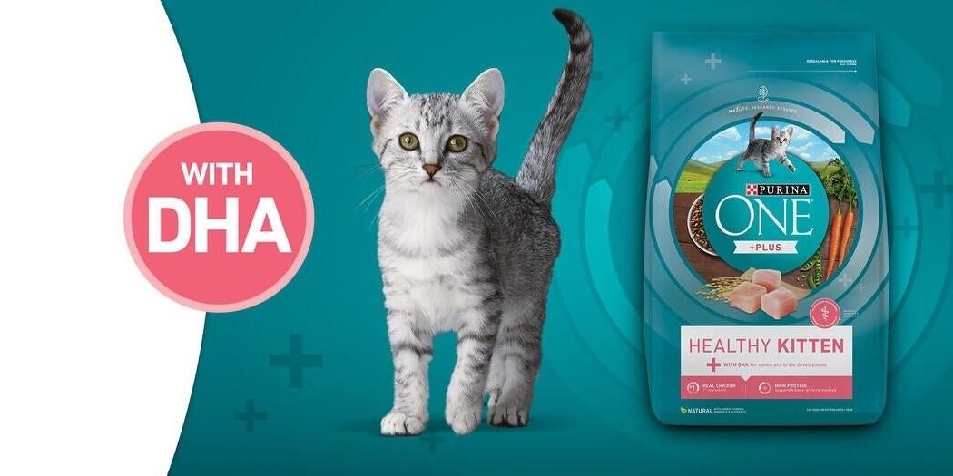 Purina ONE® Kitten Food | Purina® Canada