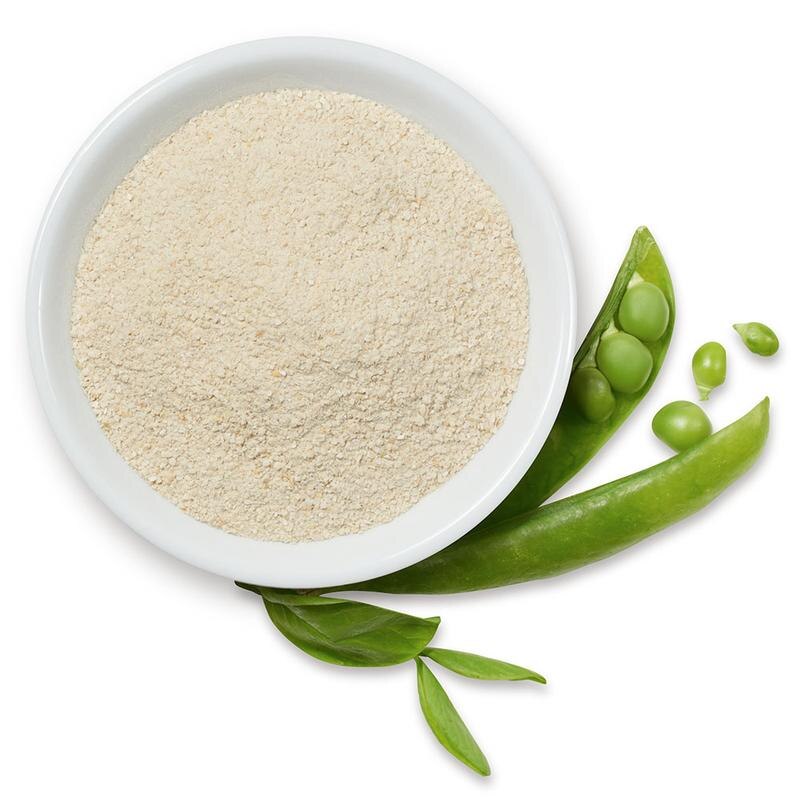 Specialized Dry Dog Food: OM Overweight Management® | Purina CA